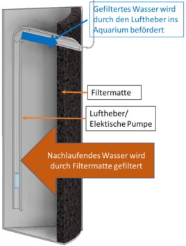 Der Hamburger Mattenfilter (HMF) ⇒Der Aqarium Filter für kleine Bewohner