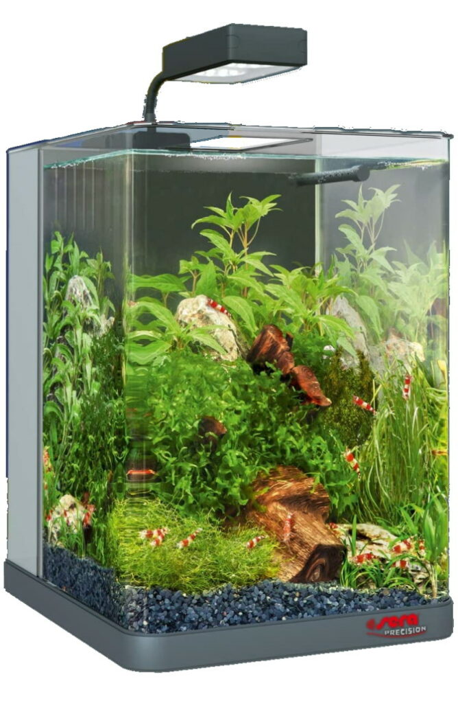Nano Aquarium Garnelen